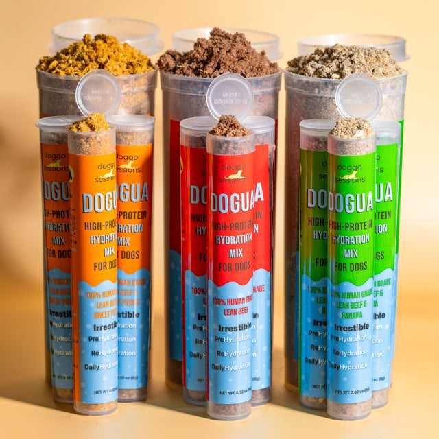 Dogua Hydration Mix Multiplier Bundles – Doggo Sessions